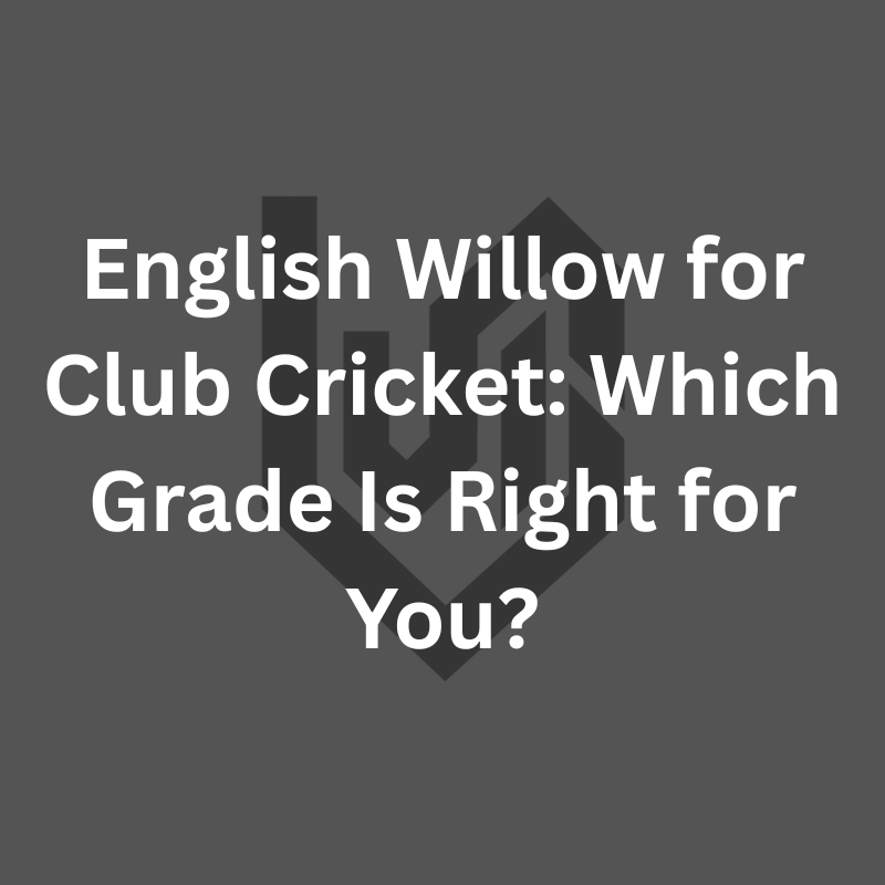 English Willow for Club Cricket: Which Grade? | Ciel Sports